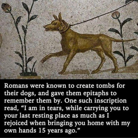Best Funny Ancient Rome Memes - 9GAG