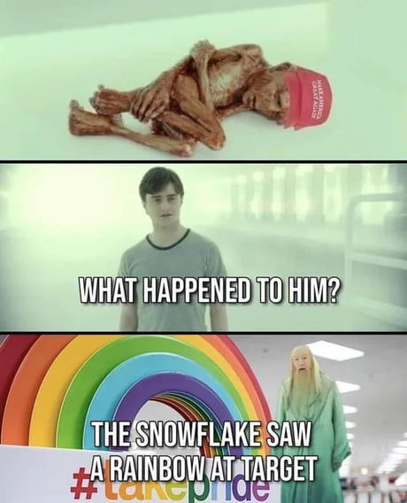 Best Funny snowflake Memes - 9GAG
