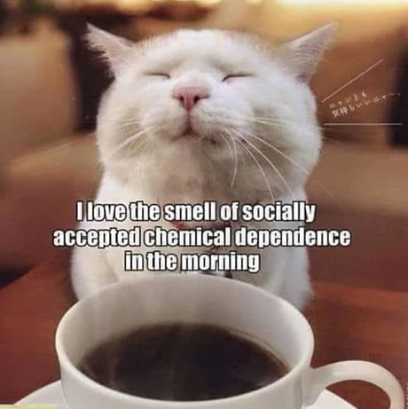 Best Funny cafe Memes - 9GAG