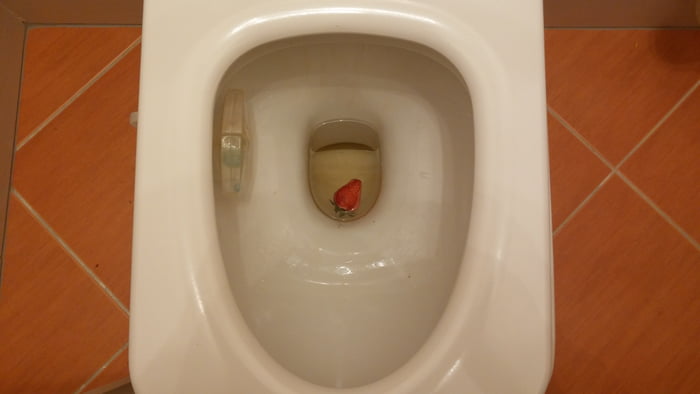 Some morning shit - 9GAG