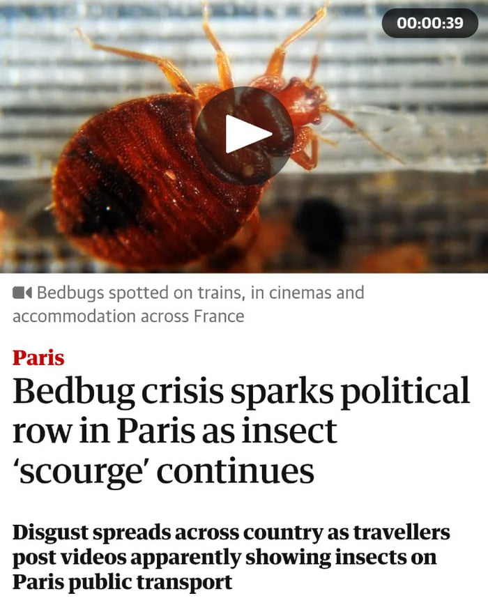 Paris becomes third world capital now? - 9GAG