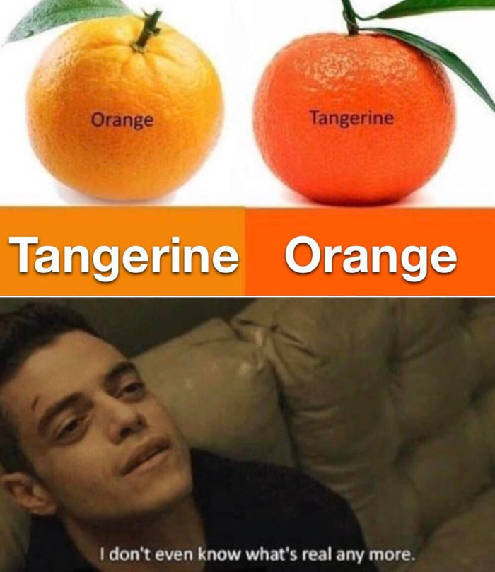 Not Orange - 9GAG