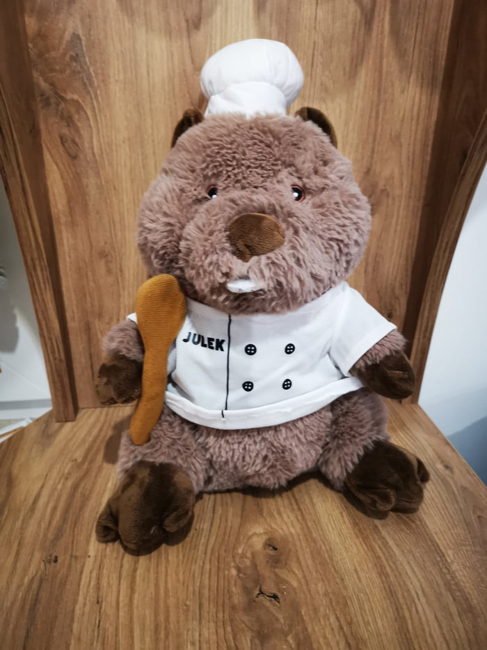 Ladies, gents and 9gaggers, let me introduce to you Julek, our bober ...