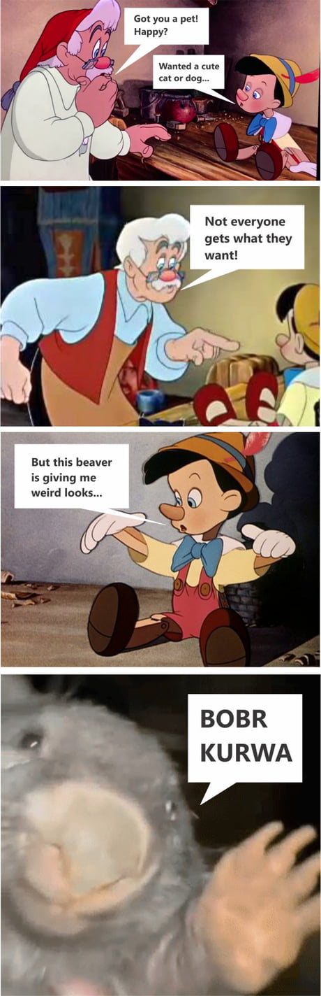 Best Funny pinocchio Memes - 9GAG