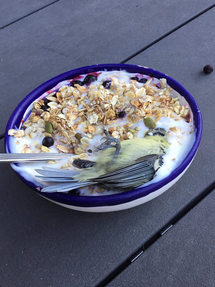 Finally, some good f**king food - 9GAG