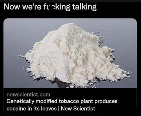 Best Funny drugs Memes - 9GAG