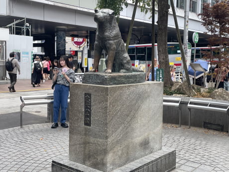 Best Funny hachiko Memes - 9GAG
