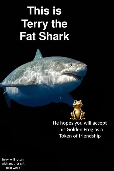 Funny Sharks Memes Whale Shark Memes In Honor Of Whale Shark Wednesday