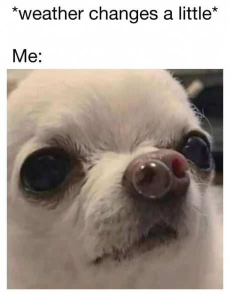 25 Best Memes About Funny Weather Funny Weather Memes 28 Winter