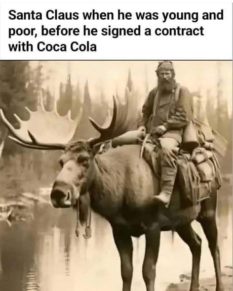 Best Funny moose Memes - 9GAG