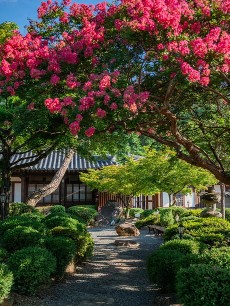 Best Funny zen Memes - 9GAG