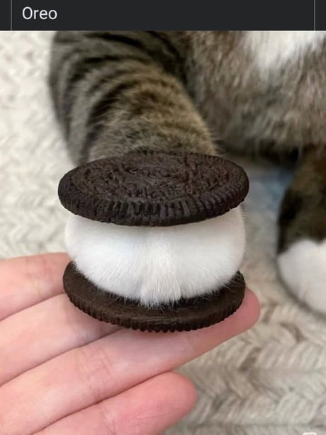 Best Funny oreo Memes - 9GAG