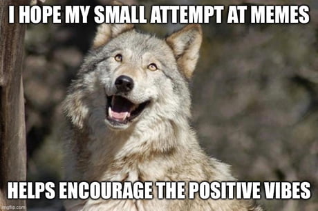 Funny Moon Moon Memes