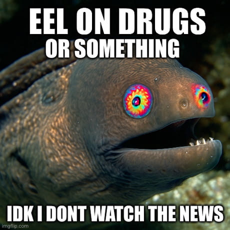 Best Funny todays druggie meme Memes - 9GAG