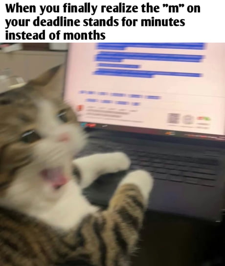Best Funny deadline Memes - 9GAG