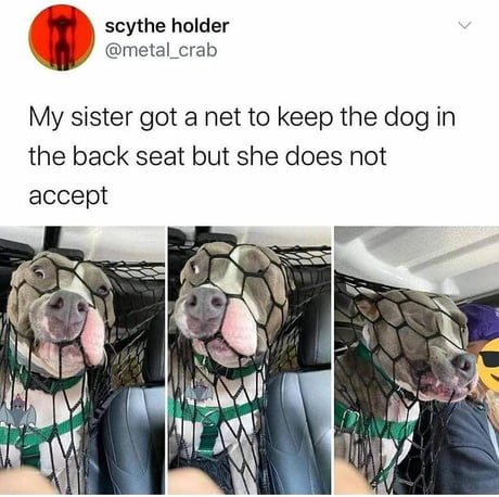 Best Funny escape Memes - 9GAG