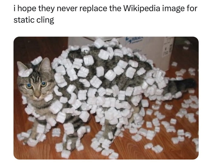 Petition to make this the official Wikipedia image for static cling. - 9GAG