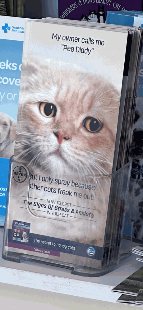 Best Funny diddy Memes - 9GAG