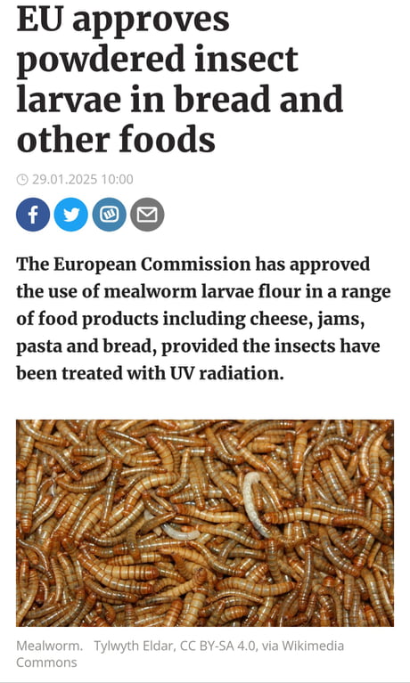 Best Funny bugs Memes - 9GAG