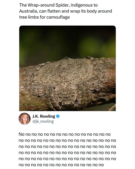 Arachnophobia Memes
