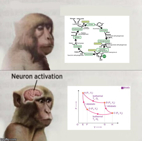 Best Funny biology Memes - 9GAG