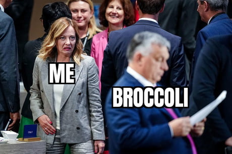 Giorgia Meloni Memes Journalist Asked To Pay Italian Prime Minister