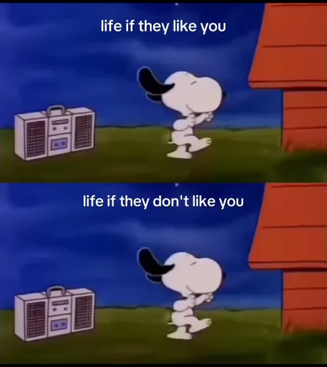 Funny Snoopy Memes