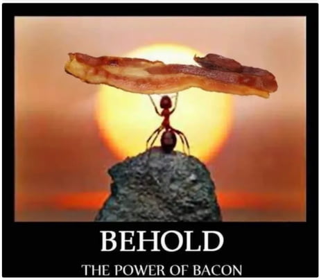 Best Funny ant Memes - 9GAG