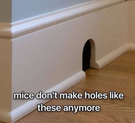 Best Funny mice Memes - 9GAG