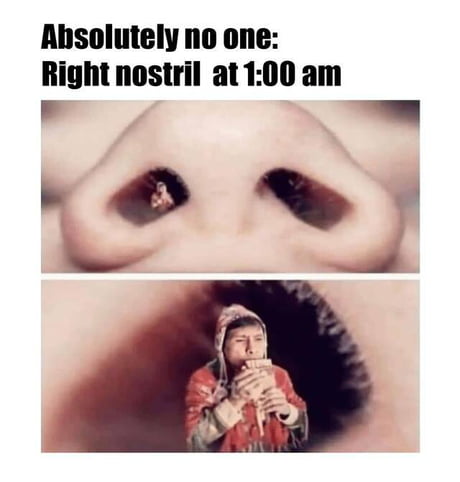 Funny Big Nose Memes When She Nose Everything About You (photo)