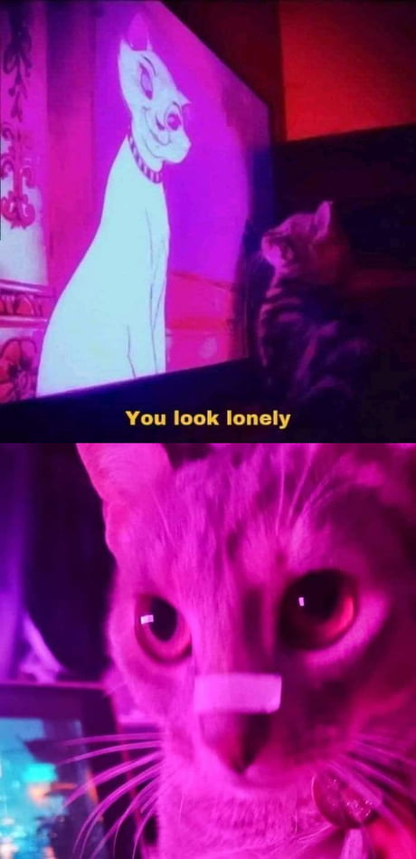 Best Funny blade runner Memes - 9GAG