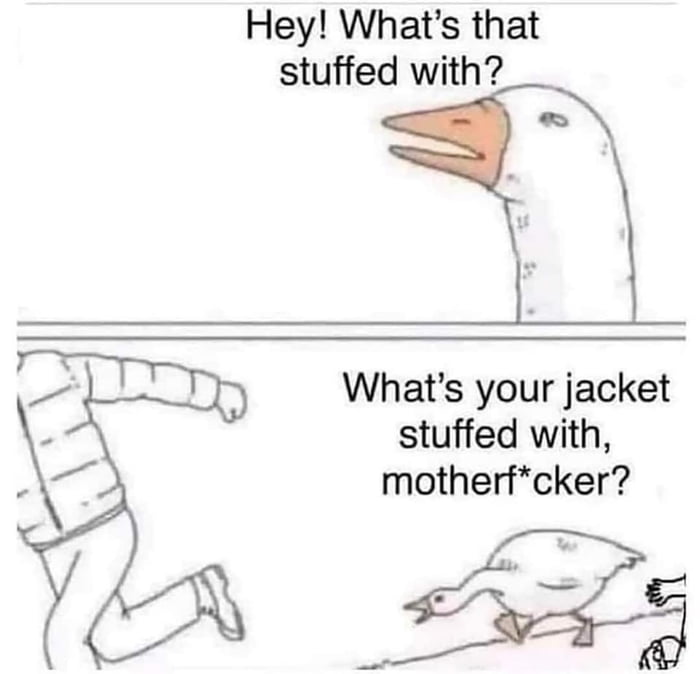Ever fight a goose? - 9GAG