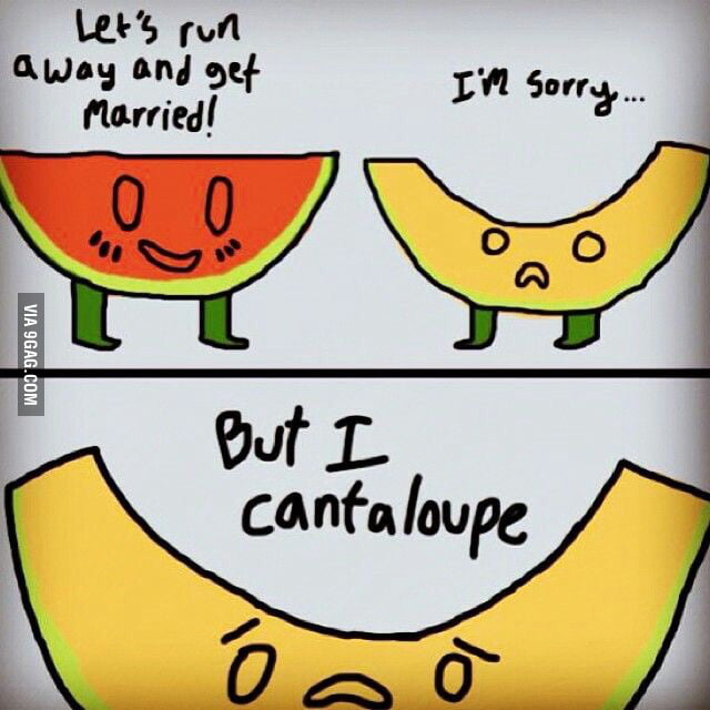 Cantaloupe can't elope ._. - 9GAG