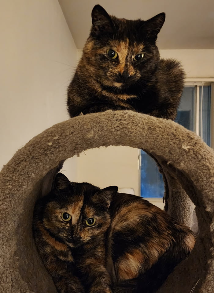 Good night my people. See ya in the morning - 9GAG