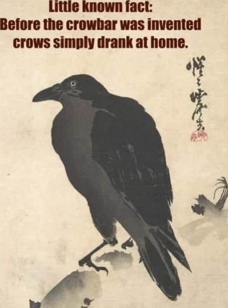 Best Funny crows Memes - 9GAG