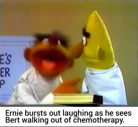 Best Funny bert Memes - 9GAG