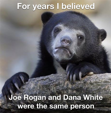 Best Funny same same but different Memes - 9GAG