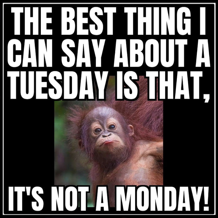 Tuesday humor - 9GAG