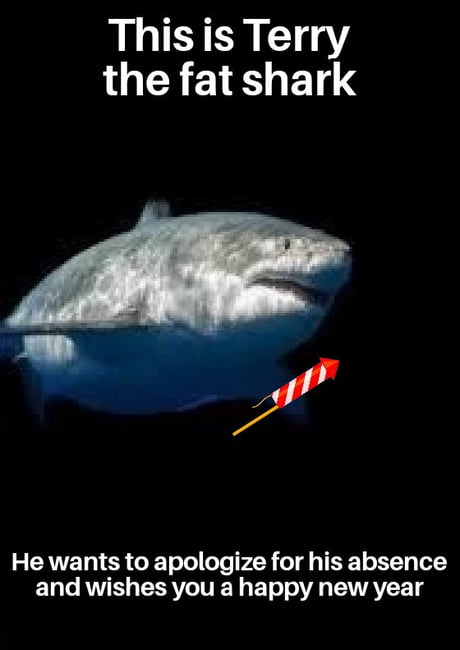 Best Funny terry the fat shark Memes - 9GAG