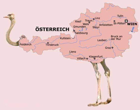 Best Funny kangaroo Memes - 9GAG