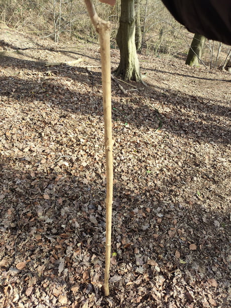 Best Funny rate my stick Memes - 9GAG