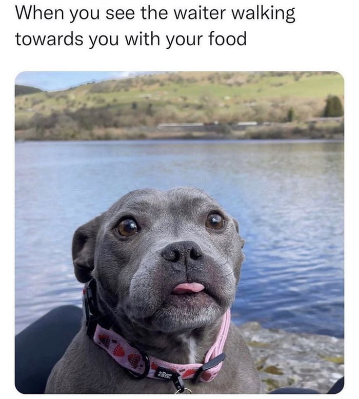 Mlem - 9GAG