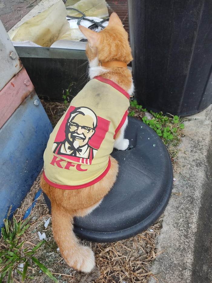 Work For Free Food 9GAG work-for-free-food-9gag