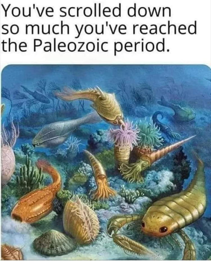 Deep sea jokes - 9GAG