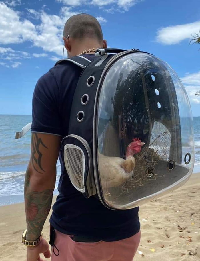 Chicken backpack - 9GAG