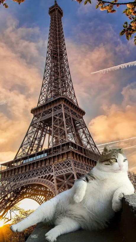 Best Funny paris Memes - 9GAG