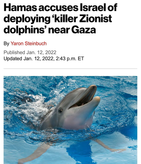 Best Funny dolphin Memes - 9GAG