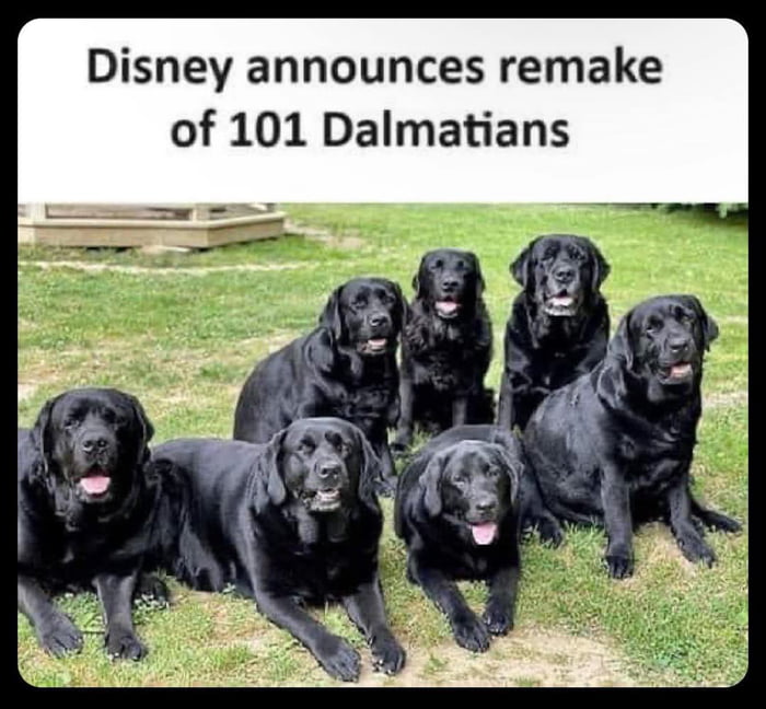 Well it's not before time - 9GAG