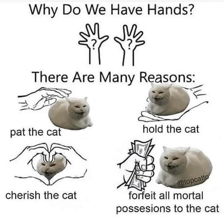 Best Funny useful hands Memes - 9GAG