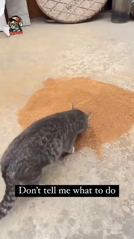 9gag Hilarious Memes 9GAG Best Funny Memes And Breaking News